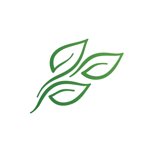 Decorative leaf icon. Stock Vector by ©Tetiana_Svirska 103792660