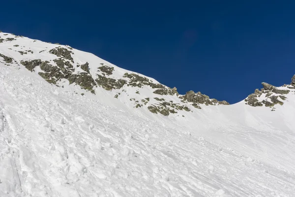 Black neck slope Stock Photos, Royalty Free Black neck slope Images ...