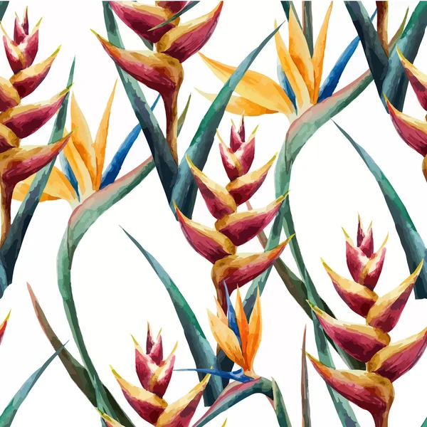 Tropical Watercolor Pattern Stock Vector Image By ©zeninaasya 63193165