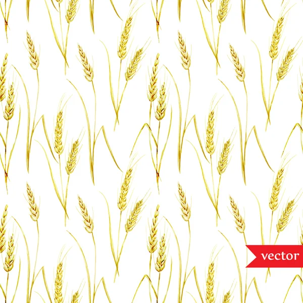 Golden wheat Vector Art Stock Images | Depositphotos