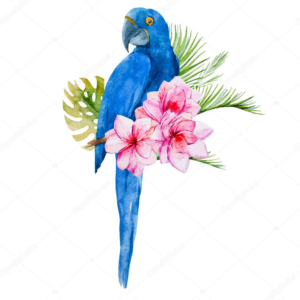 Nice watercolor blue parrots — Stock Vector © ZeninaAsya #74213213