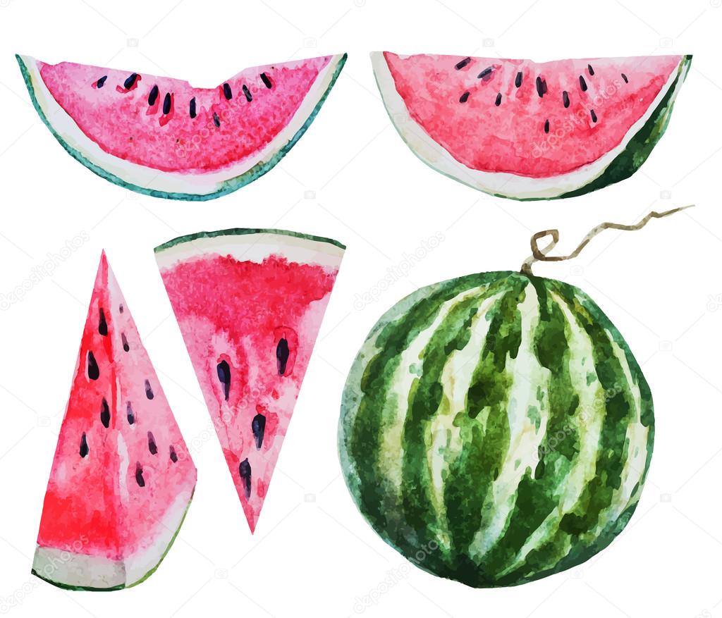 Watercolor watermelon — Stock Vector © ZeninaAsya #74404369