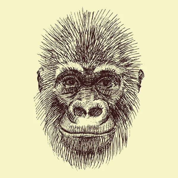 Monkey drawing Images - Search Images on Everypixel