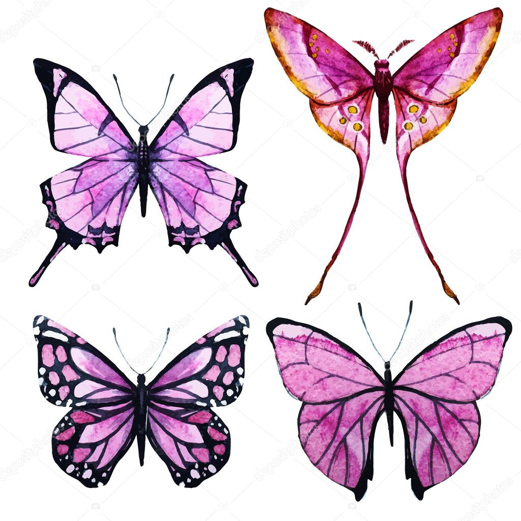 Watercolor butterflies vector — Stock Vector © ZeninaAsya #87495708 Watercolor butterflies vector — Stock Vector © ZeninaAsya #87495708