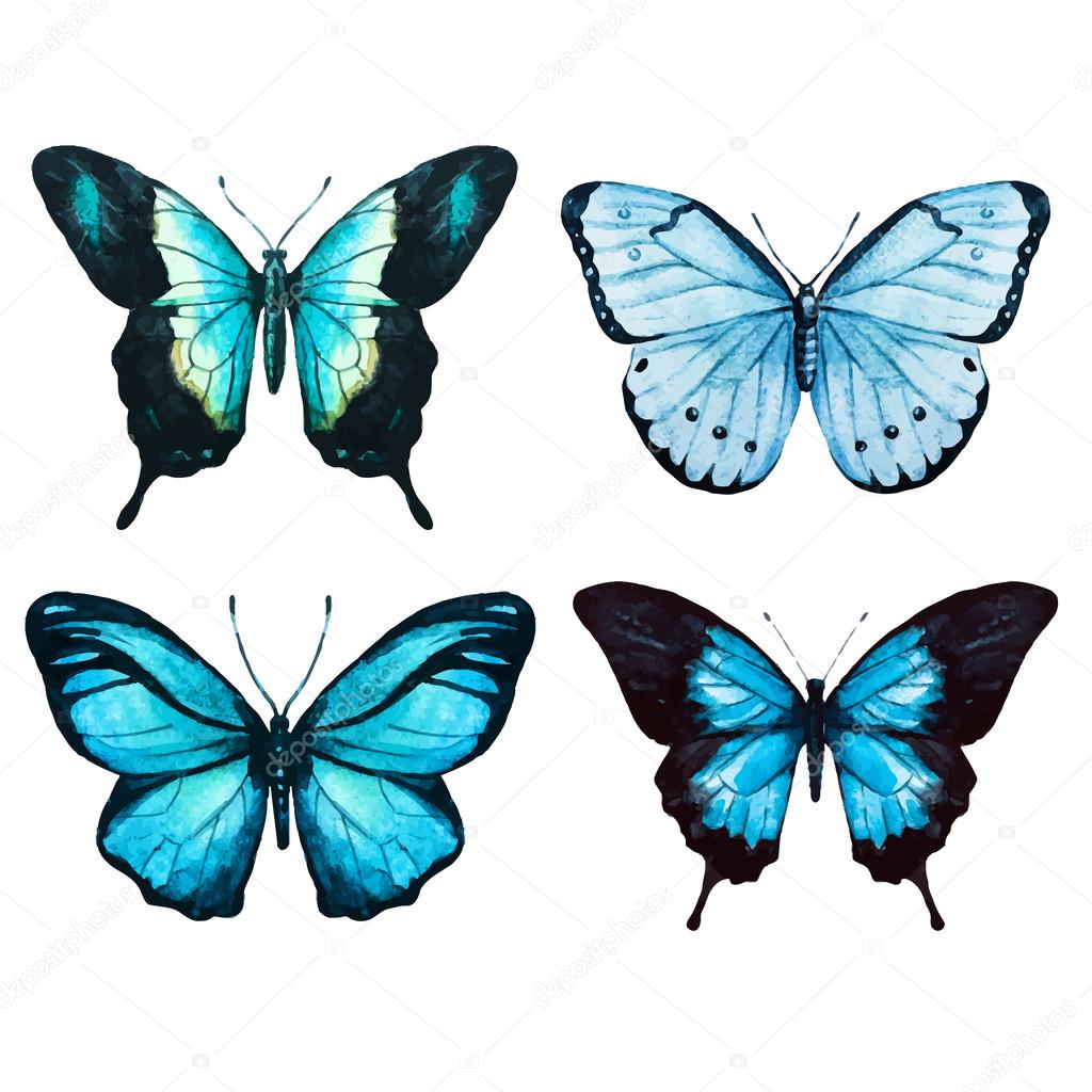 Watercolor butterflies vector Stock Vector Image by ©ZeninaAsya #87496000 Watercolor butterflies vector Stock Vector Image by ©ZeninaAsya #87496000