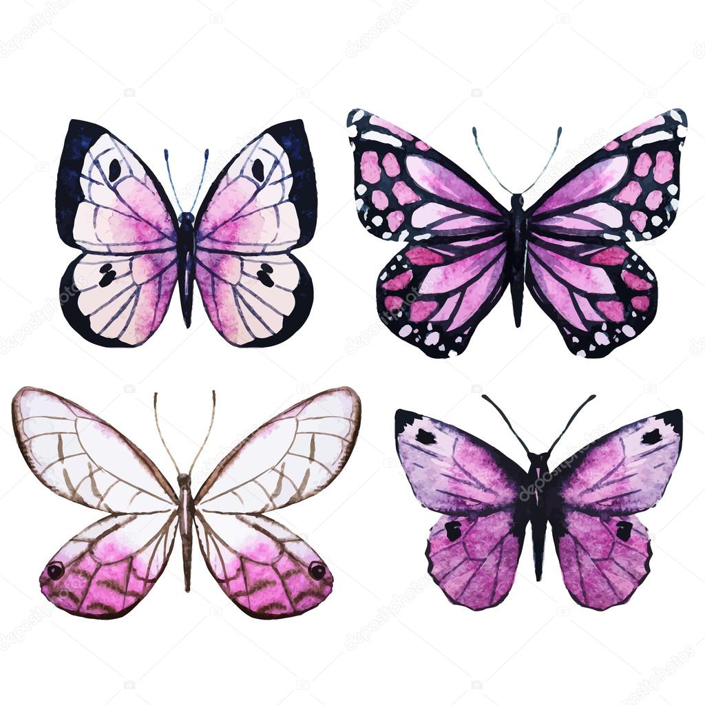 Suluboya Kelebek öğretici