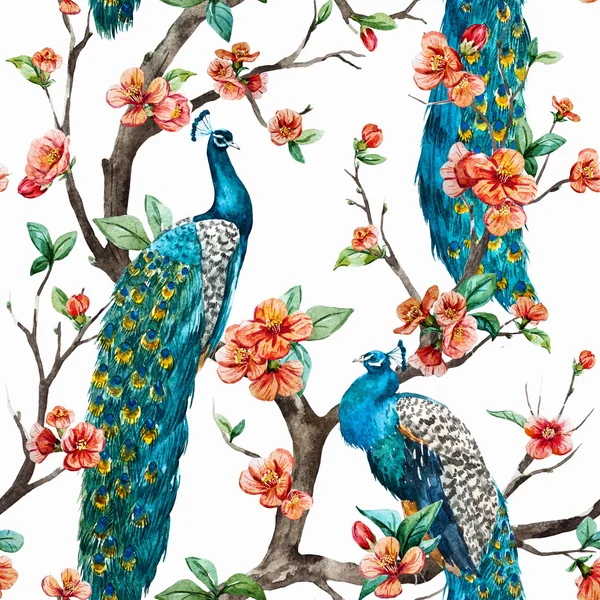 Watercolor Vector Peacock Pattern — Stock Vector © Zeninaasya 95328462