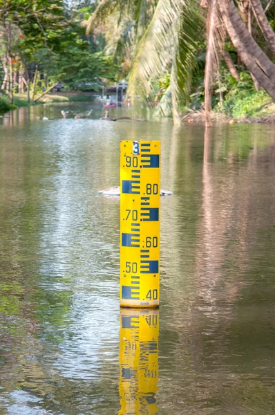 Water level Images - Search Images on Everypixel