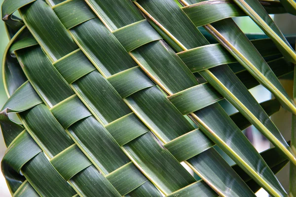 Woven coconut leaves Stock Photos, Royalty Free Woven coconut leaves ...