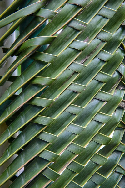 Woven coconut leaves Stock Photos, Royalty Free Woven coconut leaves ...