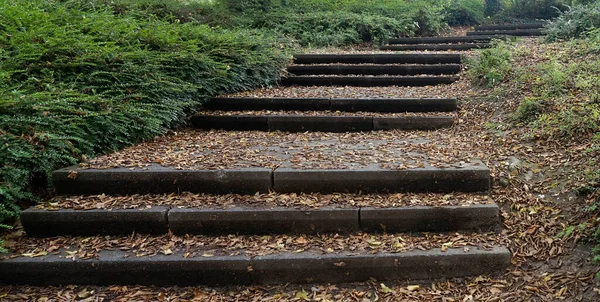 Steps path Images - Search Images on Everypixel