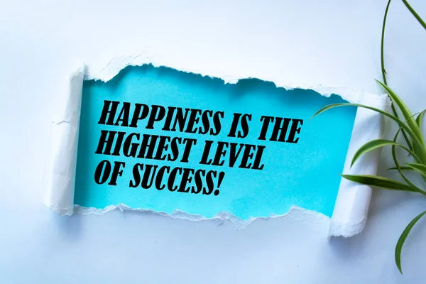 Happiness success Stock Photos, Royalty Free Happiness success Images ...