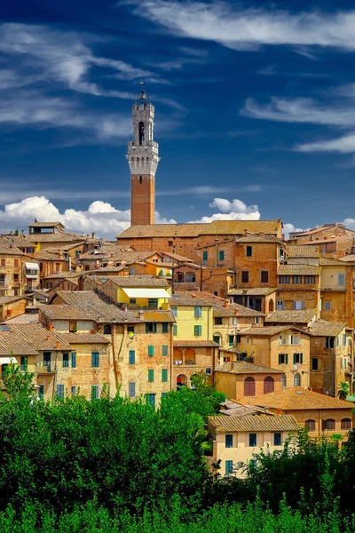 Siena Stock Photos, Royalty Free Siena Images | Depositphotos