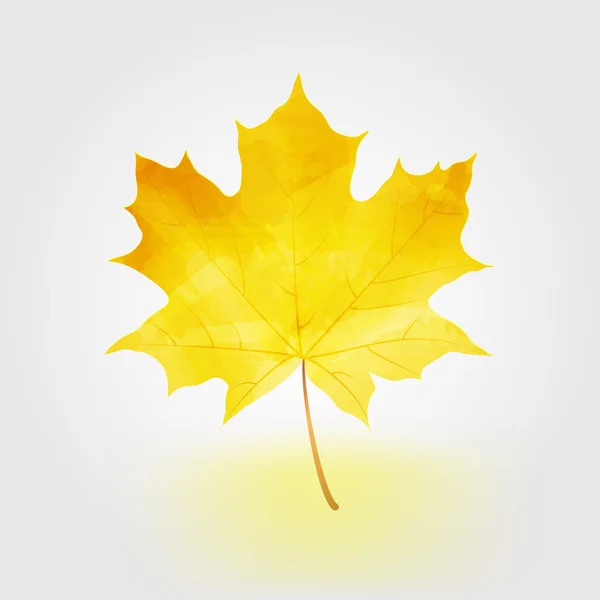 Autumn maple leaf vector illustration — Stock Vector © zigzag777 #86504762