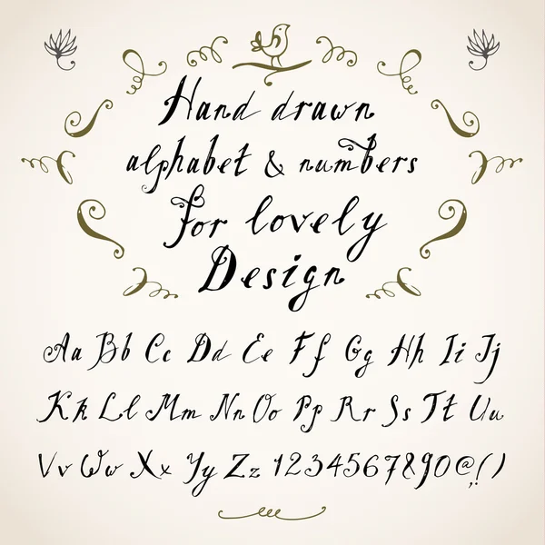 Hand drawn fonts Vector Art Stock Images | Depositphotos