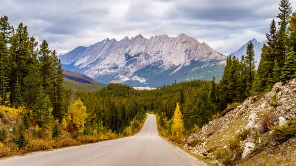 Colin range Stock Photos, Royalty Free Colin range Images | Depositphotos