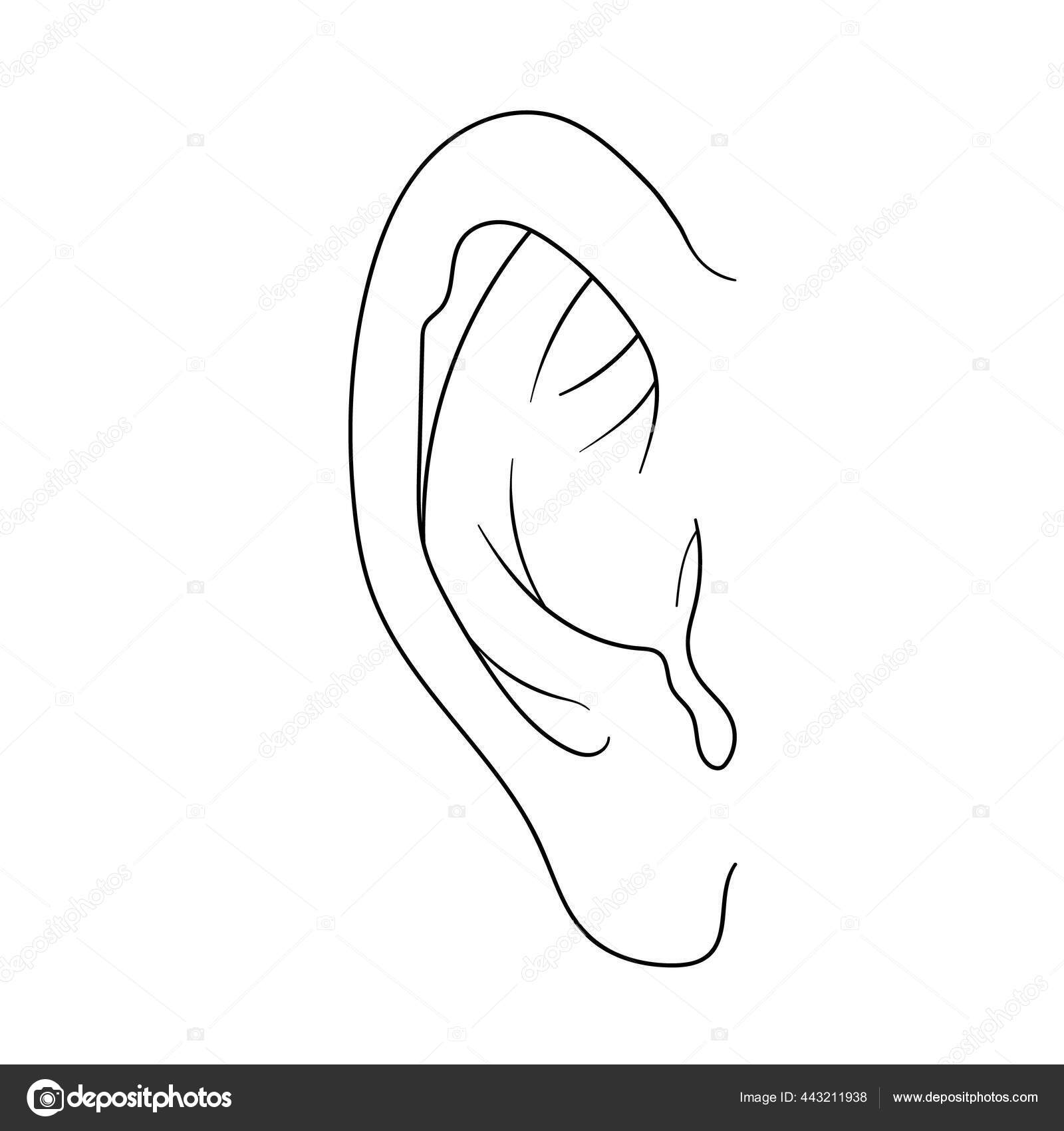 Símbolo de boceto de oreja dibujada a mano. Vector escuchar elemento en ...