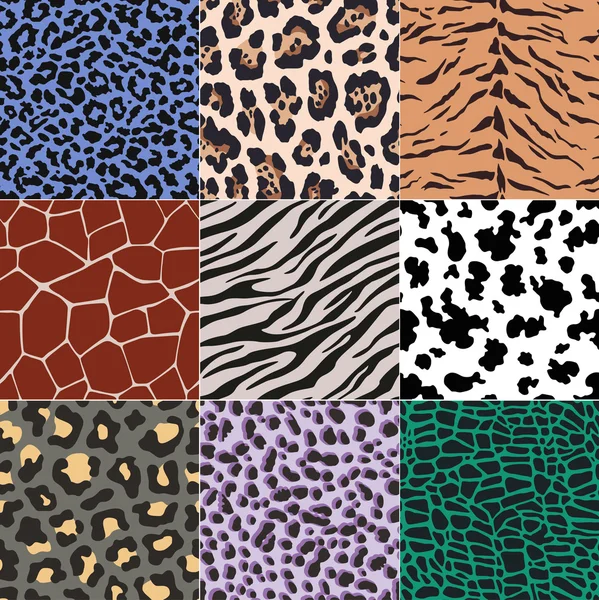 Colorful Animal Prints
