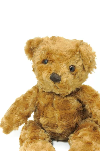 Teddy bear — Stock Photo © Blueminiu #1851365