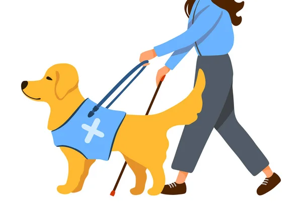 100,000 導盲犬 Vector Images | Depositphotos