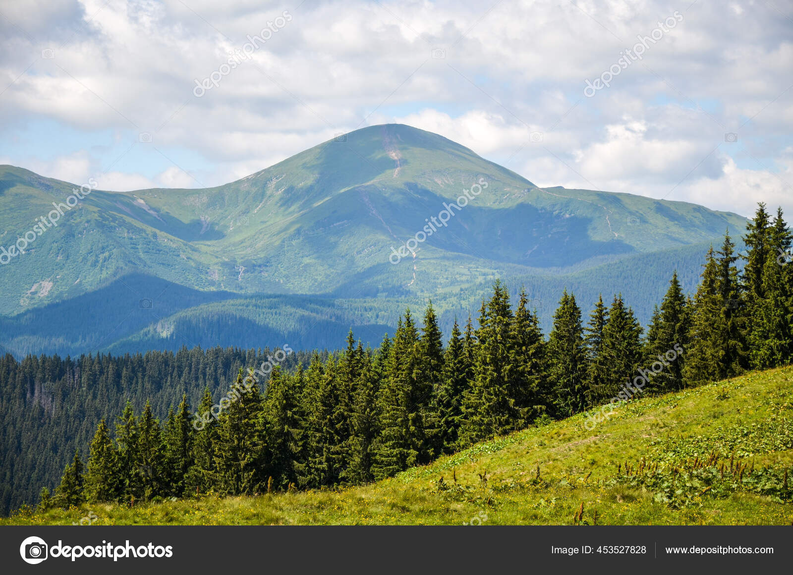 Hoverla Mountain