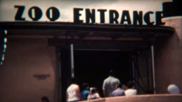 254 Zoo vstup Videos, Royalty-free Stock Zoo vstup Footage | Depositphotos