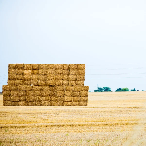 Large Pile of Hay Bales — Stock Photo © MAnuta #89311466 Large Pile of Hay Bales — Stock Photo © MAnuta #89311466
