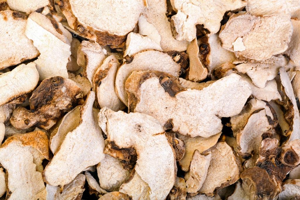 Dioscorea caucasica (Angelica sinensis or Female Ginseng). Stock Photo ...