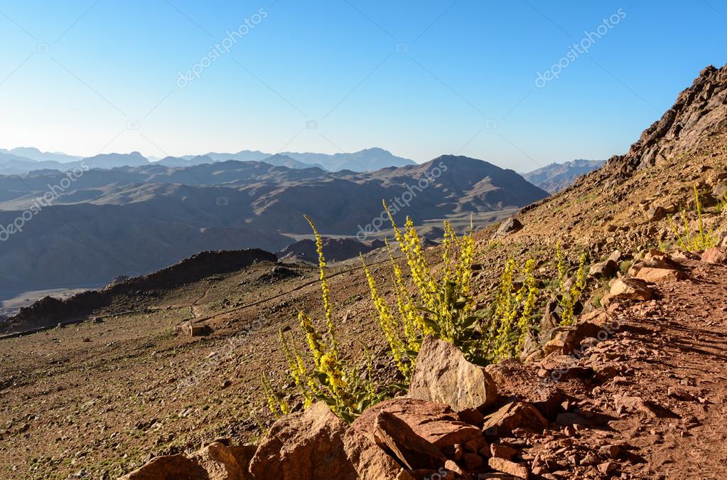 Egypt, Sinai, Mount Moses. Road on which pilgrims climb the mountain of ...