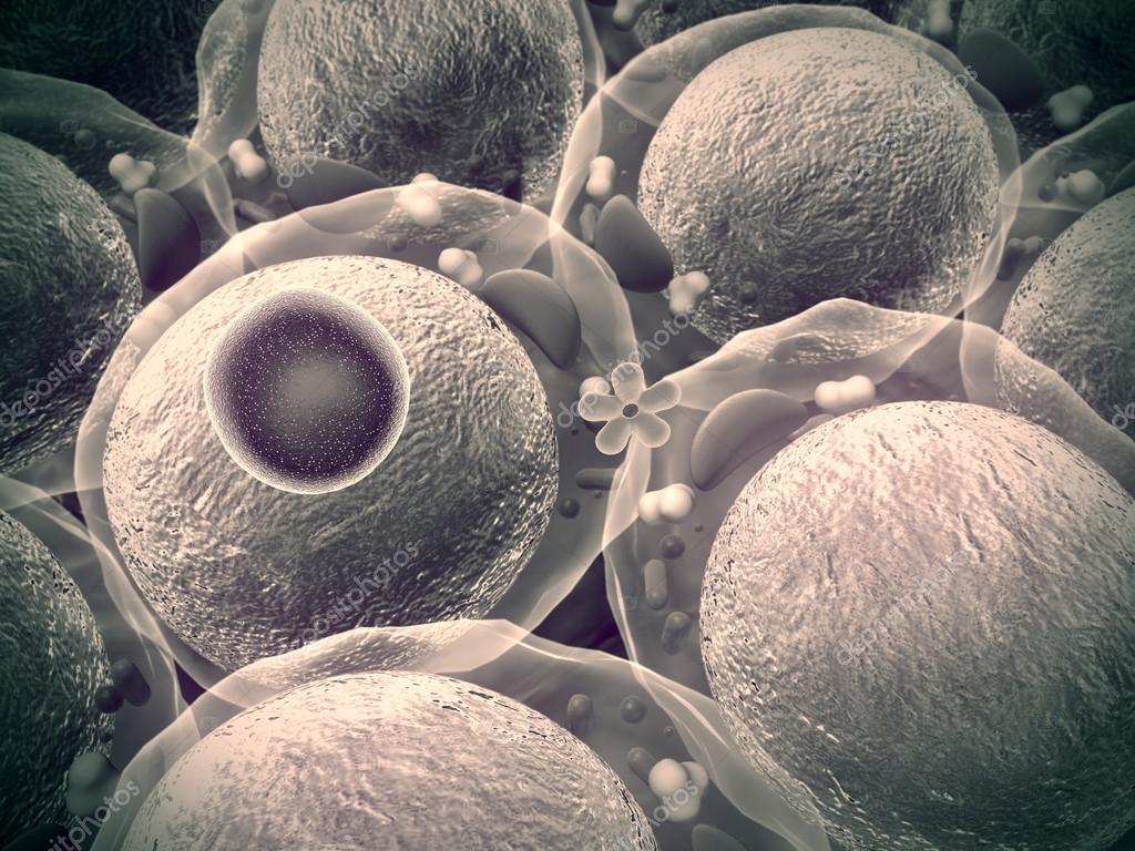 Insulin, cells — Stock Photo © Ugreen #72354713