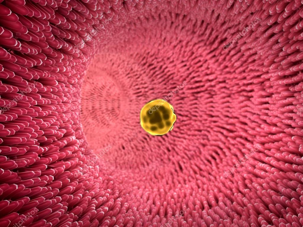 Fat cell in the blood — Stock Photo © Ugreen #95123704