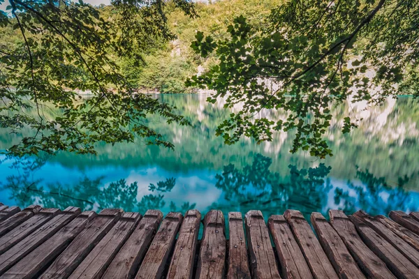 Hojas sobre el lago fotos de stock, imágenes de Hojas sobre el lago sin ...