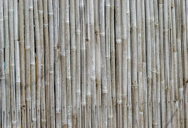 Bamboo wall Stock Photo by ©scenery1 49491597