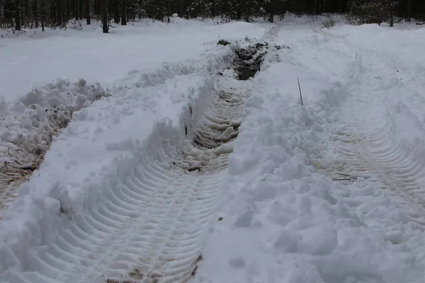 The track of a wheel on a broken dirt road covered with deep snow.A ...