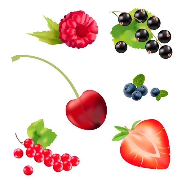 Set Of Berries Stock Vector Image by ©adamson #3176270