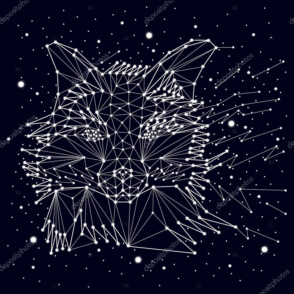 Portrait of a fox , constellation — Stock Vector © irkast #113700978