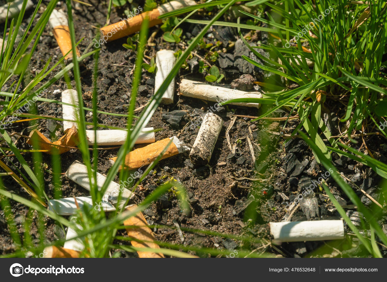 Close Lot Discarded Cigarette Butts Grass Cigarette Butts Ground ...