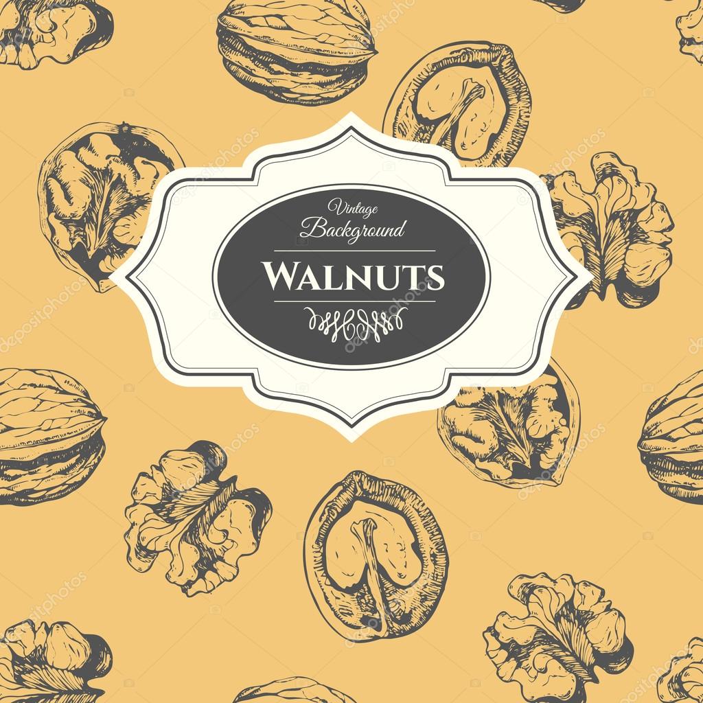 Hand-drawn vector sketch of walnuts. Seamless nature background. Stock ...