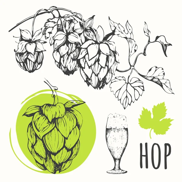 Hopfen Stock-Vektorbilder | Depositphotos
