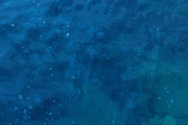 Plavalaguna Stock Photos, Royalty Free Plavalaguna Images | Depositphotos