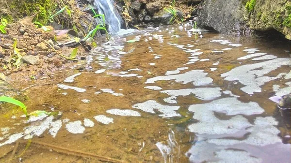 Small Water Spring