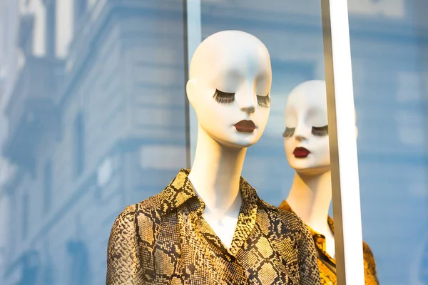 Shopping window display Stock Photos, Royalty Free Shopping window ...