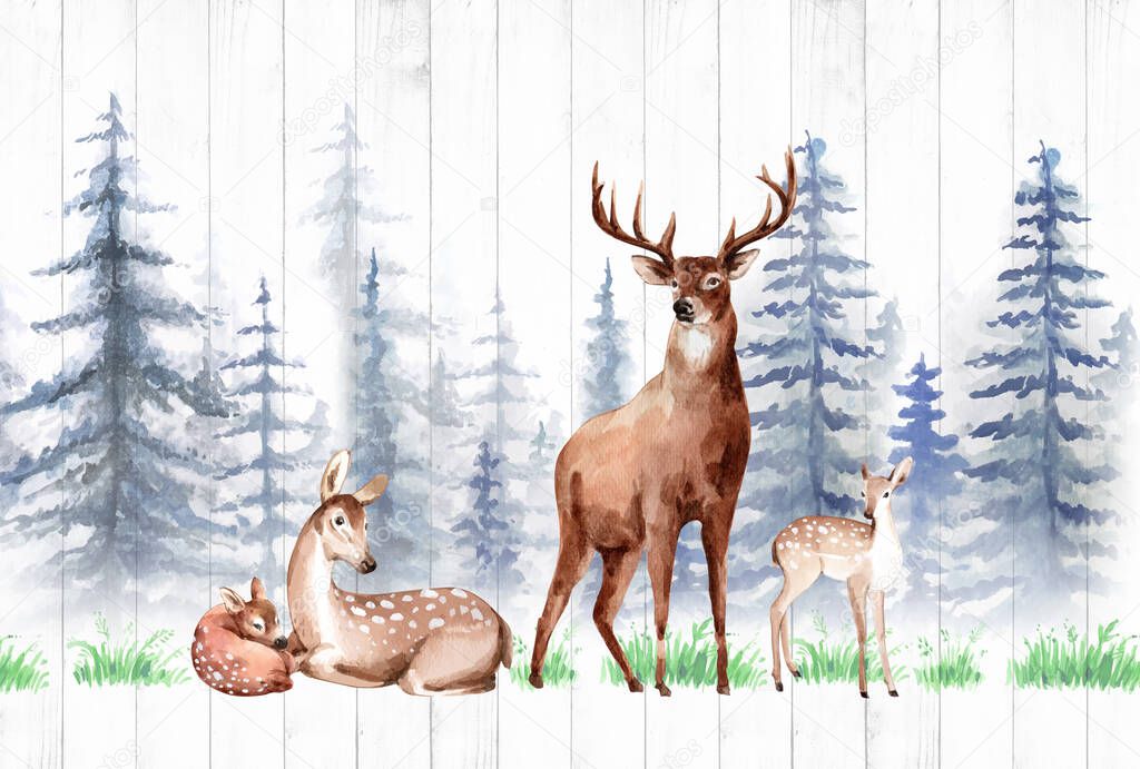 Disegni Di Cervi E Cerve Il Cervo Nobile *(Cervus Elaphus)*