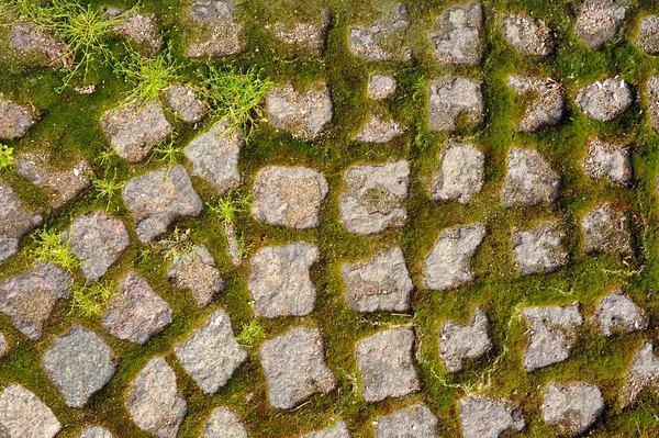 Mossy Cobblestone Texture