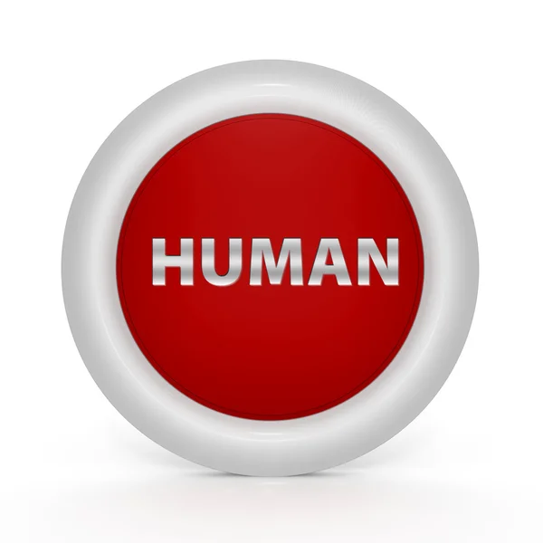Presunsional humana Stock Photos, Royalty Free Presunsional humana ...