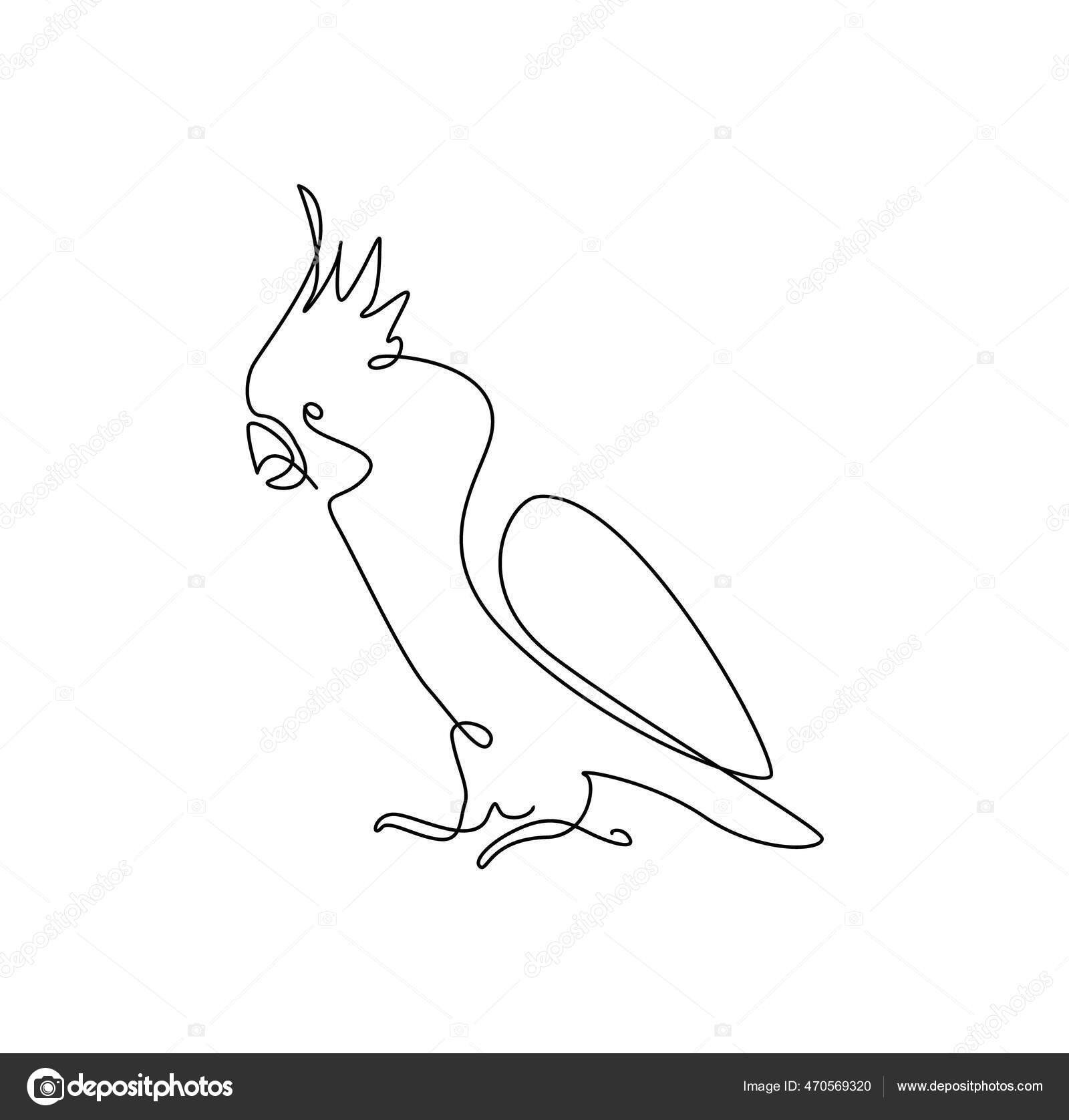 Parrot Outline Clip Art