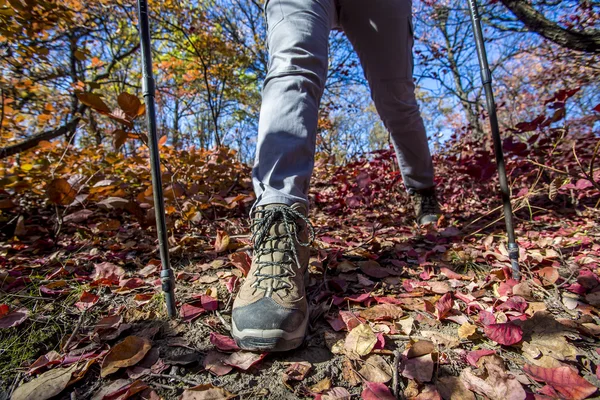 Step forward Stock Photos, Royalty Free Step forward Images | Depositphotos