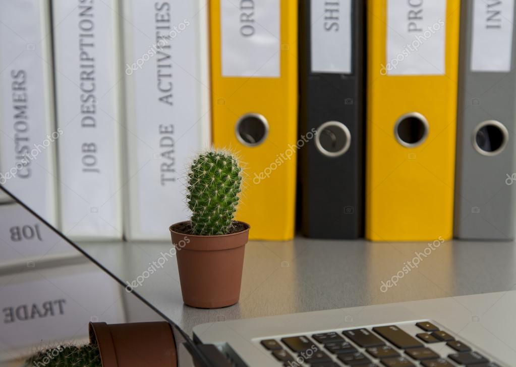 Office composition with cactus Stock Photo by ©AlexBrylov 66403273