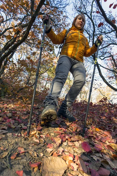 One step forward - Stock Image - Everypixel