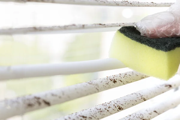 Spring cleaning - Stock Image - Everypixel